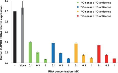 rnai activity of target sirna each sirna was transfected into a549