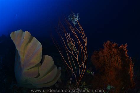 Same Subject Different Angle