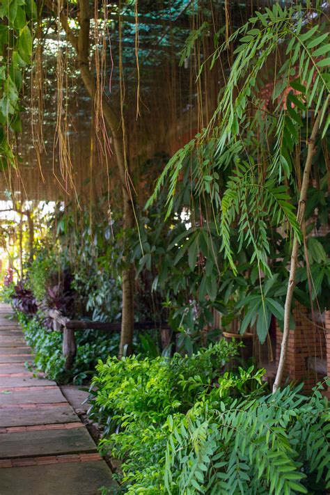 3 Non Rhythmic Sensory Stimuli Rootedinnature