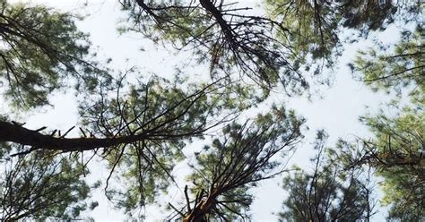 improving dns in node js r webdev