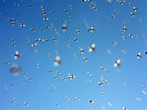 Zero Day Initiative Bug Bounty Ramps Up Rewards For Server Side Vulnerabilities Cyware Alerts