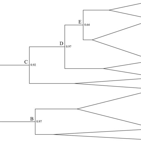 bayesian inference topology of phylogenetic relationships among 66