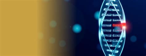 Amplicon Sequencing In Agriculture Paragon Genomics