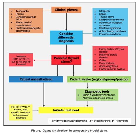 Wfsa World Federation Of Societies Of Anaesthesiologists On Linkedin Anaesthesia Tutorial Of
