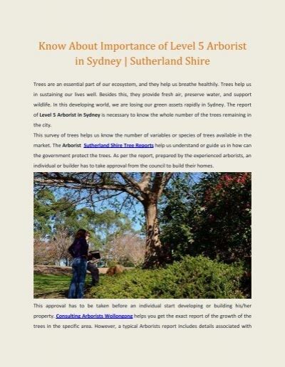Arborist Tree Analysis Reports Eastern Suburbs