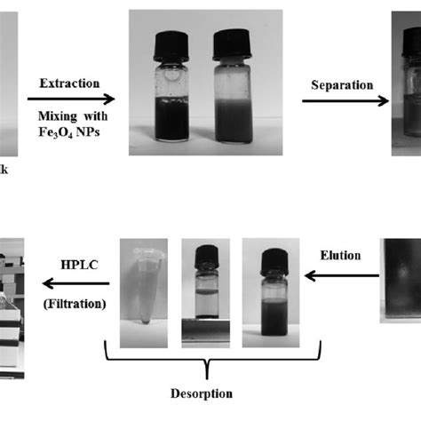 The Experimental Process Of The Proposed Assay Download Scientific Diagram