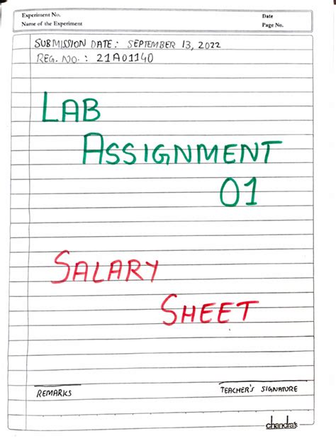 Advance Excel Lab Assignment Pdf