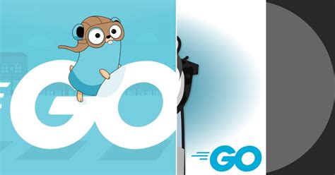 list golang curated by rye miller medium