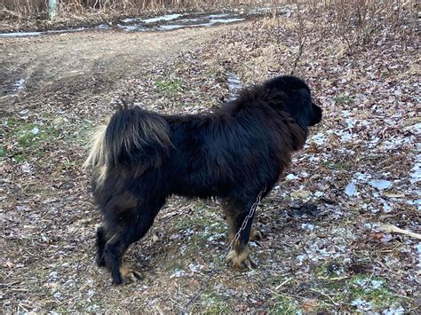 Native Farm Va Native Farm Va Added A New Photo