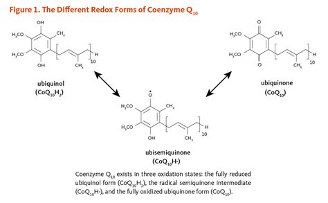 Coenzyme Q Structure Of Oxidized