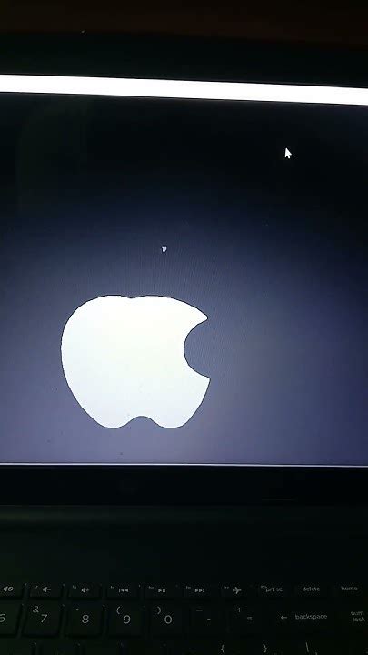 Apple🍎 Logo In Python🐍programming🖥️for Turtle 🐢🐢module 🔁vivekanand Coder💻🚀💯 Youtube