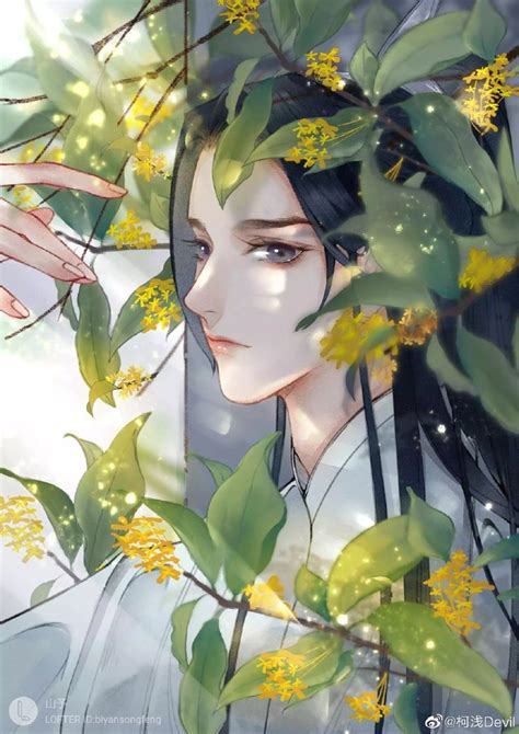 Chu Wan Ning Nghệ Thuật Mèo Trắng Mèo