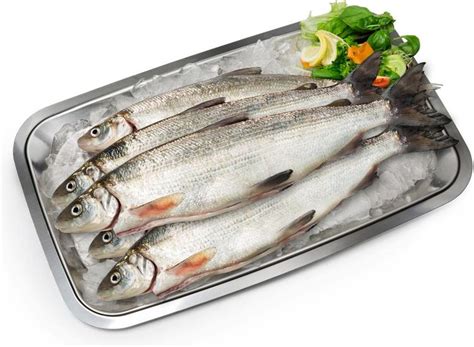 Siika 2 Villi S Kaupat Ruoan Verkkokauppa