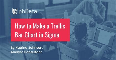 How To Create A Trellis Bar Chart In Sigma Computing PhData