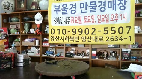 부울경 만물 경매장 Youtube