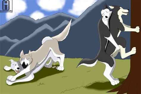 Rule 34 All Fours Balls Canine Canine Cum Cumshot Doggy Style Female