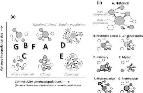 Theoretical Framework For Describing The Spatial Structure Of Download Scientific Diagram