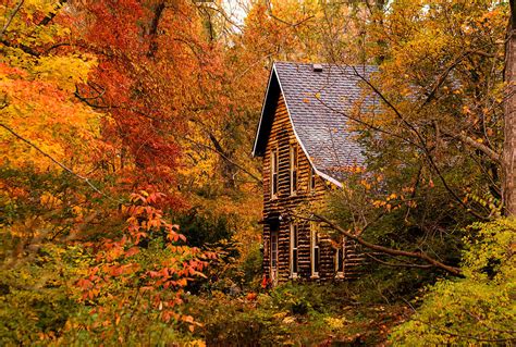 Cabin In Fall