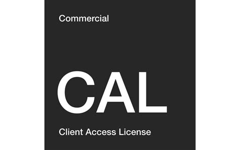 Microsoft Ms Oem Windows Server Cal 2025 1pk 5 Clt User Cal En 5 X