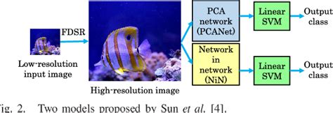 Figure 2 From A Survey Of Deep Learning Techniques For Underwater Image Classification