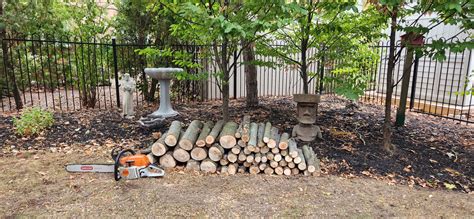 Gallery Green Canopy Tree Services