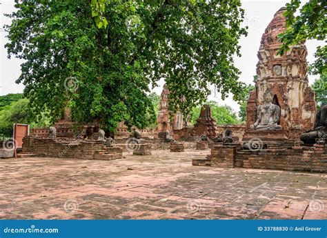 Buddha Statue In Wat Mahathat A Ruined Temple In Ayuthaya Thai Stock