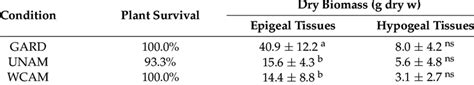 Survival And Dry Biomasses Of Helichrysum Microphyllum Subsp
