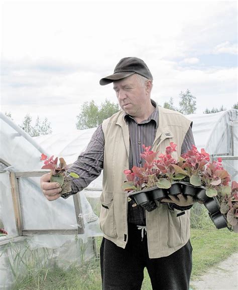 Gėlininkas R Bimbiris „paauglystėje Mopedą Nusipirkau Už Paties Išaugintas Begonijas
