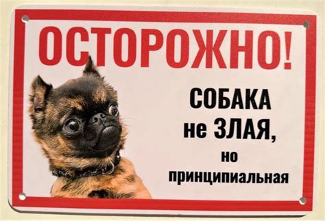 Табличка "Осторожно принципиальная собака", 21 см, 15 см - купить в ...