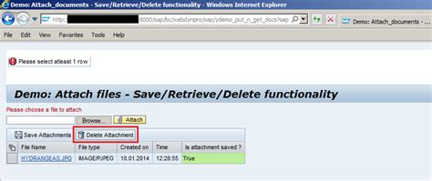 Attach Files With Save Retrieve And Delete Functi Sap Community