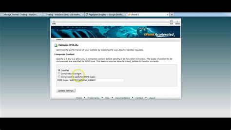 wordpress page speed optimisation on cpanel youtube