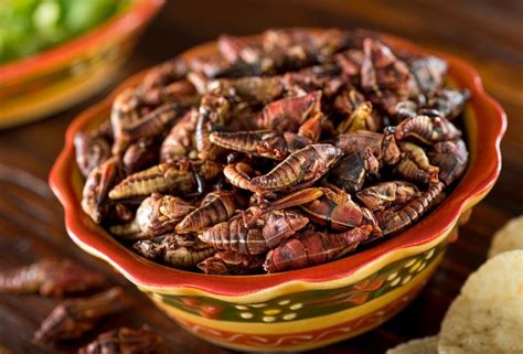 5 Suculentos Platillos De Comida Prehispánica Y Sus Recetas Más De