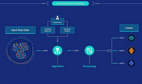 Introduction to Supervised Learning: Understanding the Fundamentals | by Rishi | Medium