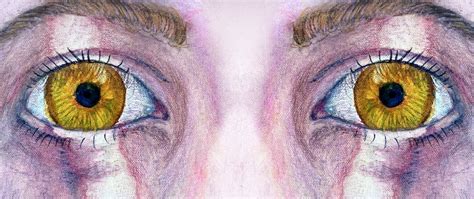 James Miller Dev Community