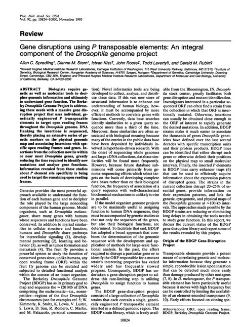 Pdf Gene Disruptions Using P Transposable Elements An Integral