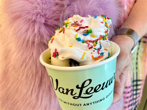 Review We Tried Scoops From Famous Ice Cream Brand Van Leeuwen — And It Didnt Bring Us Joy