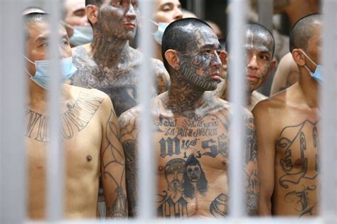 What We Know About Cecot El Salvadors Mega Prison Taking Trumps