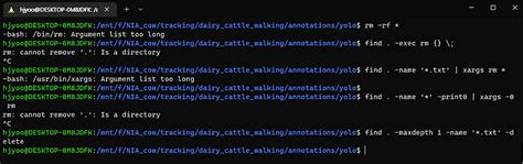 ubuntu rm rf 시 bash bin rm argument list too long 오류 많은 양의