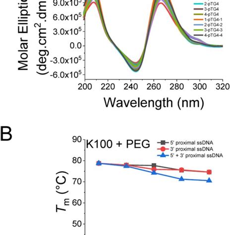 Effect Of Proximal Ssdna On The Topological Structures Of Ptg4 A