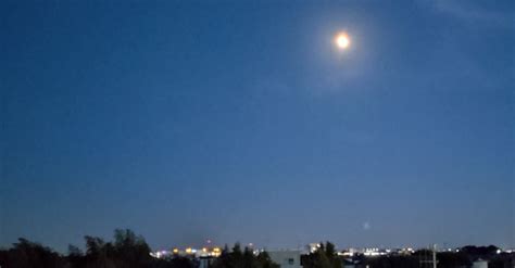 わたしの名前｜五葉／itsuha イツハ