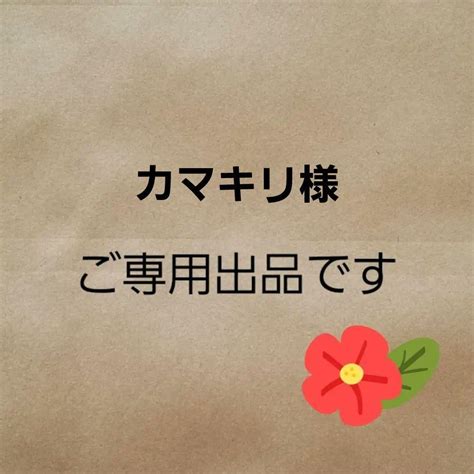 B4 Opp袋 100枚 メルカリ