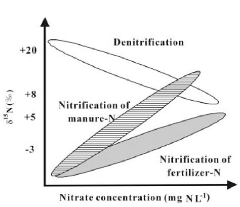 General Correlation Patterns Between The Concentration And δ 15 N Of