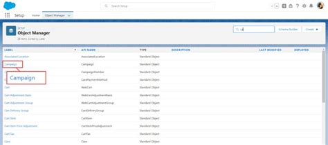 Add Months To Date In Salesforce Using Addmonths