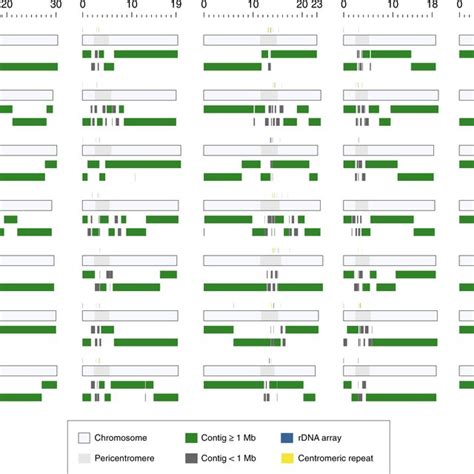Chromosome Level Genome Assemblies Of Seven A Thaliana Accessions The