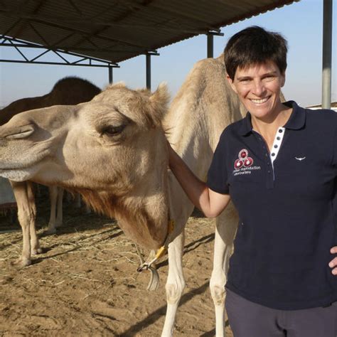 Jane Vaughan Ceo Research Profile