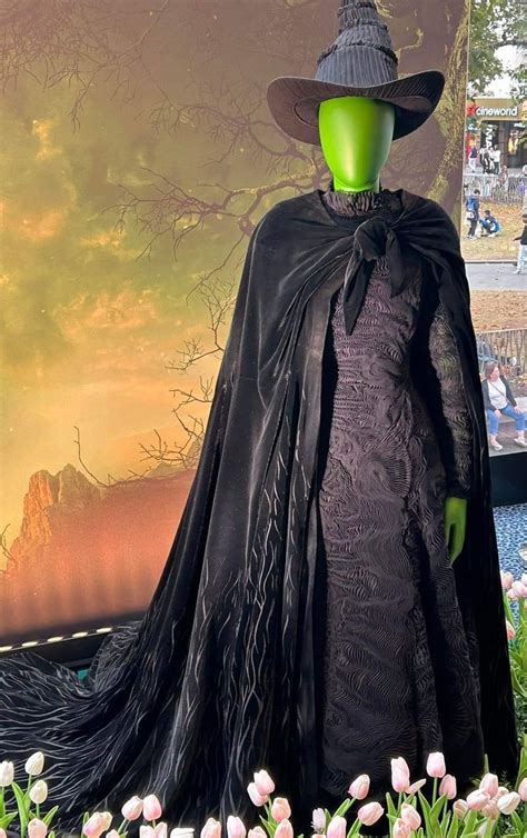 Elphaba Witch Dress Diy Elphaba Hat Wicked Costumes Movie Elphaba