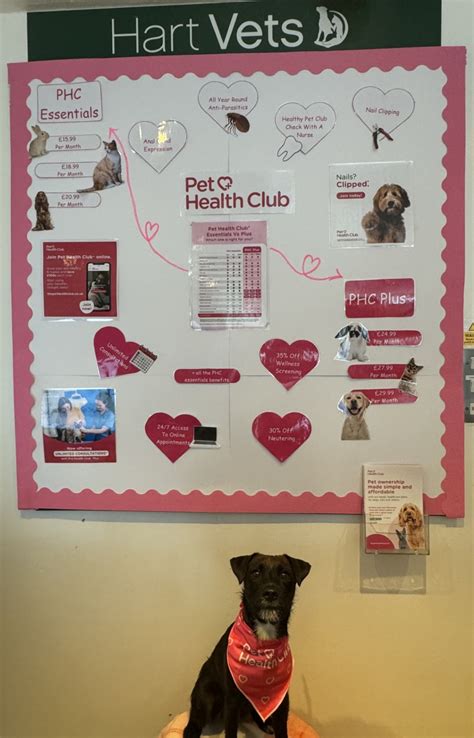 Our The Hart Veterinary Centre In Bicester And Aylesbury Facebook