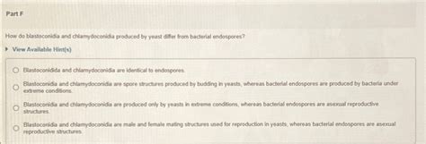 Solved Part Fhow Do Blastoconidia And Chlamydoconidia