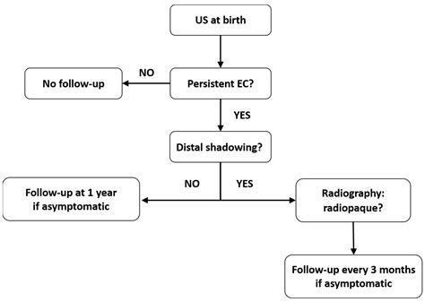 Echogenic Content In The Fetal Gallbladder Systematic Review Of Ultrasound Features And
