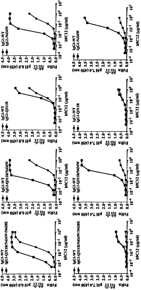 Engineered Immunoglobulins With Altered Fcrn Binding Eureka Patsnap